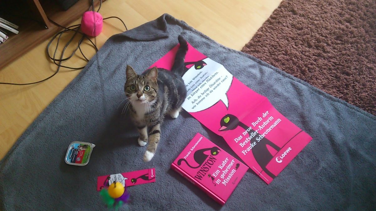 Winston- Ein Kater in geheimer Mission von Frauke Scheunemann (Habe ich ...